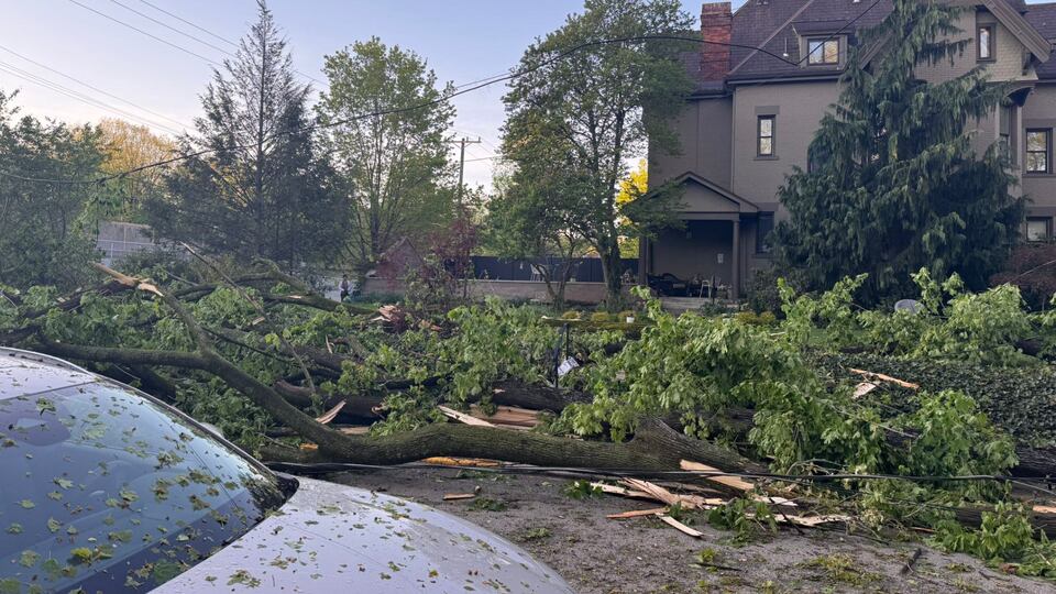 Duquesne Light Company issues letter previewing actions taken after ...