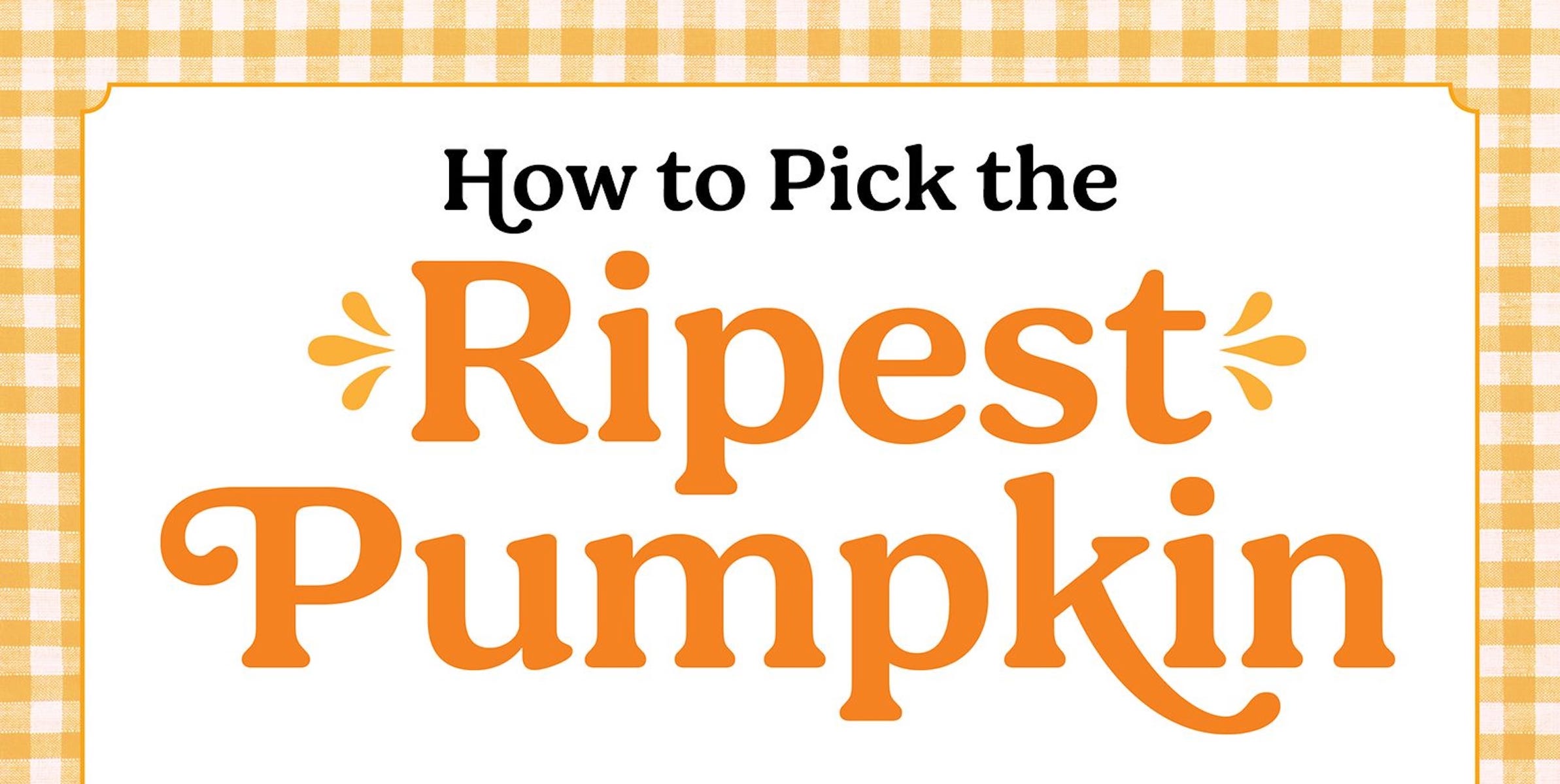 This Simple Chart Shows Exactly How to Pick the Perfect Pumpkin