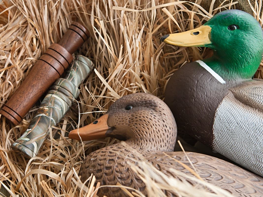 Celebrate Piney Heritage At Ocean County's Annual Decoy & Gunning Show