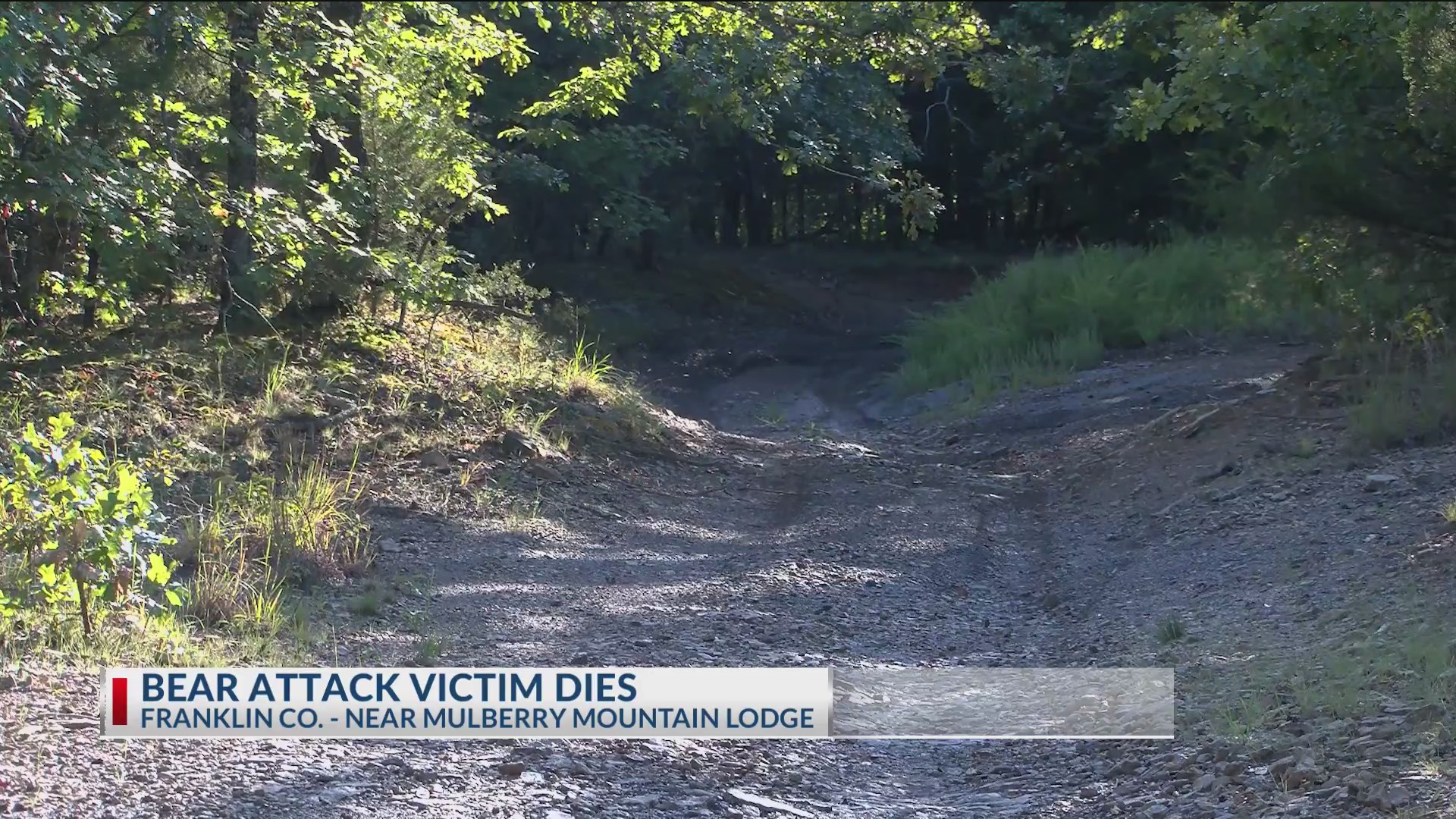 Bear attack victim dies