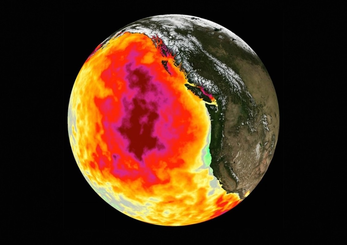 Strange ‘Warm Blob’ Resurfaces in Pacific Ocean