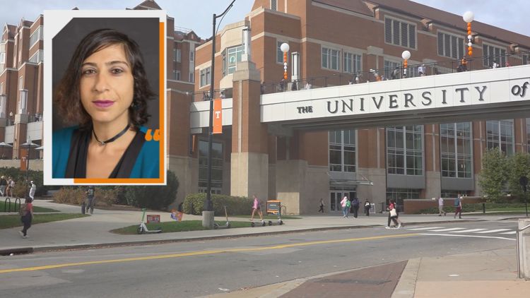 UT looks to terminate assistant professor for social media post ...