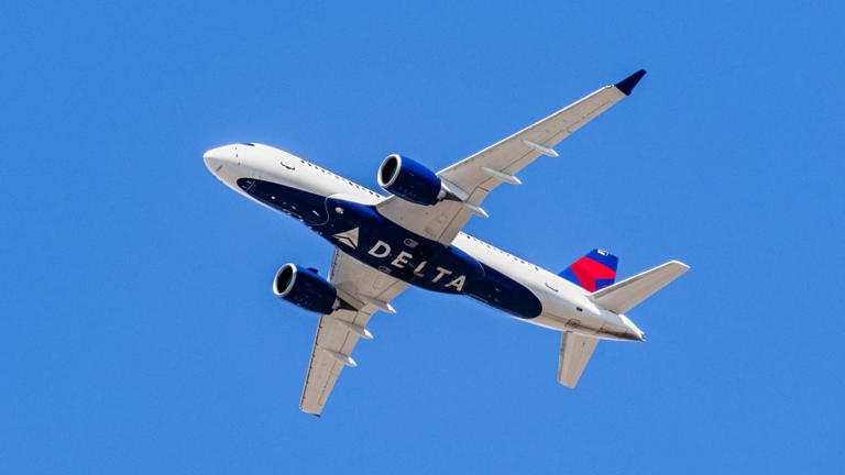 You can now apply to become a flight attendant for Delta Air Lines