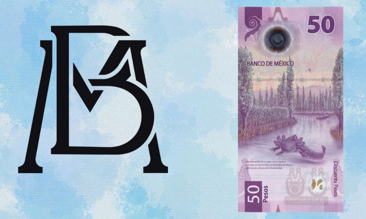 Banxico revela las características que debe tener un billete de 50 ...