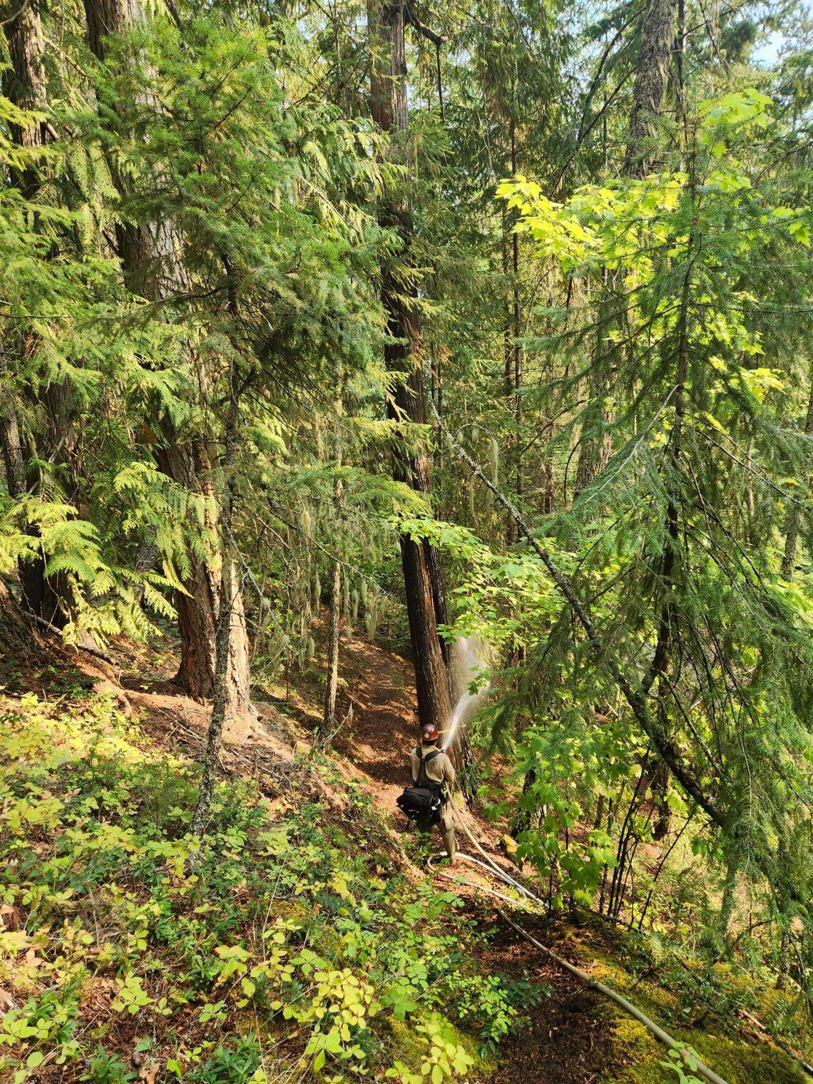 Crews make progress on containment of Perry Fire in Whatcom County