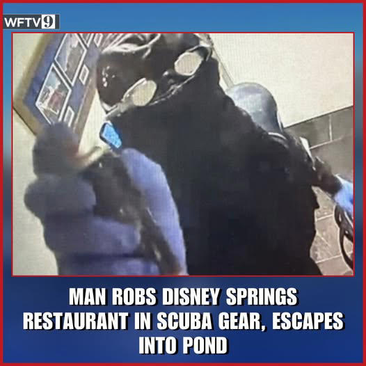 Disney Springs Paddlefish Restaurant Burglarized By Scuba Diver