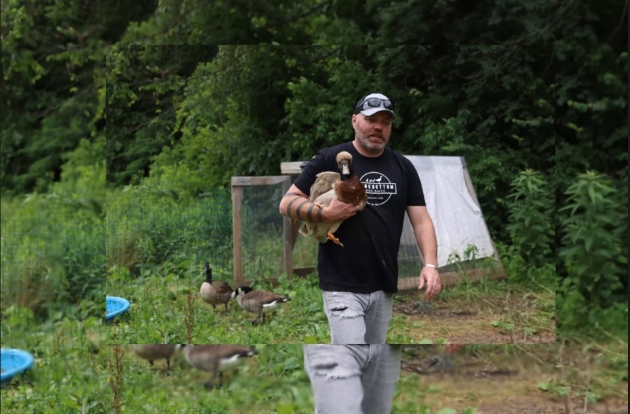 Longbottom Bird Rescue visits local Indianapolis brewery