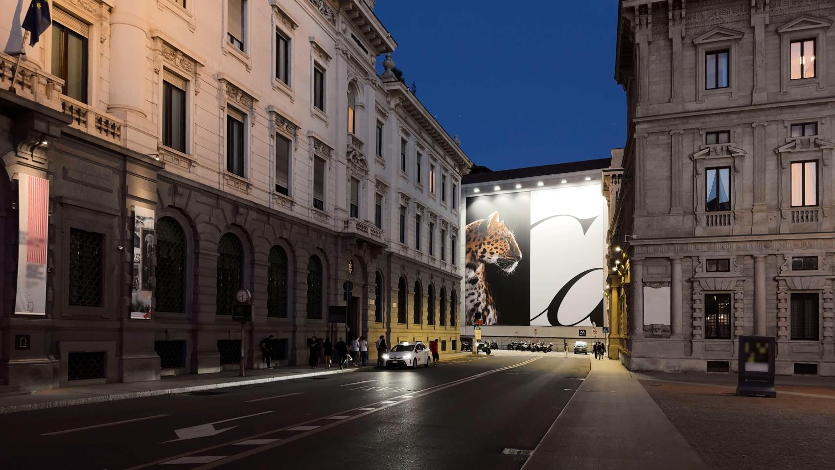 La pantera de Cartier cautiva al mundo: la última campaña de la 'maison' libera la elegancia del ...