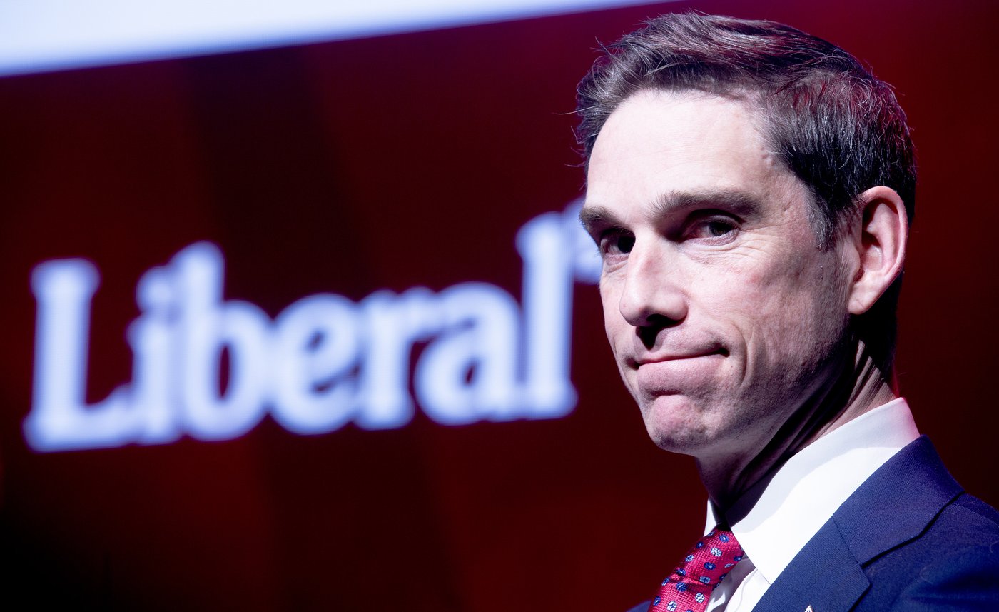 Quick Sketch: Liberal John Hogan hopes to win his first election as N.L ...