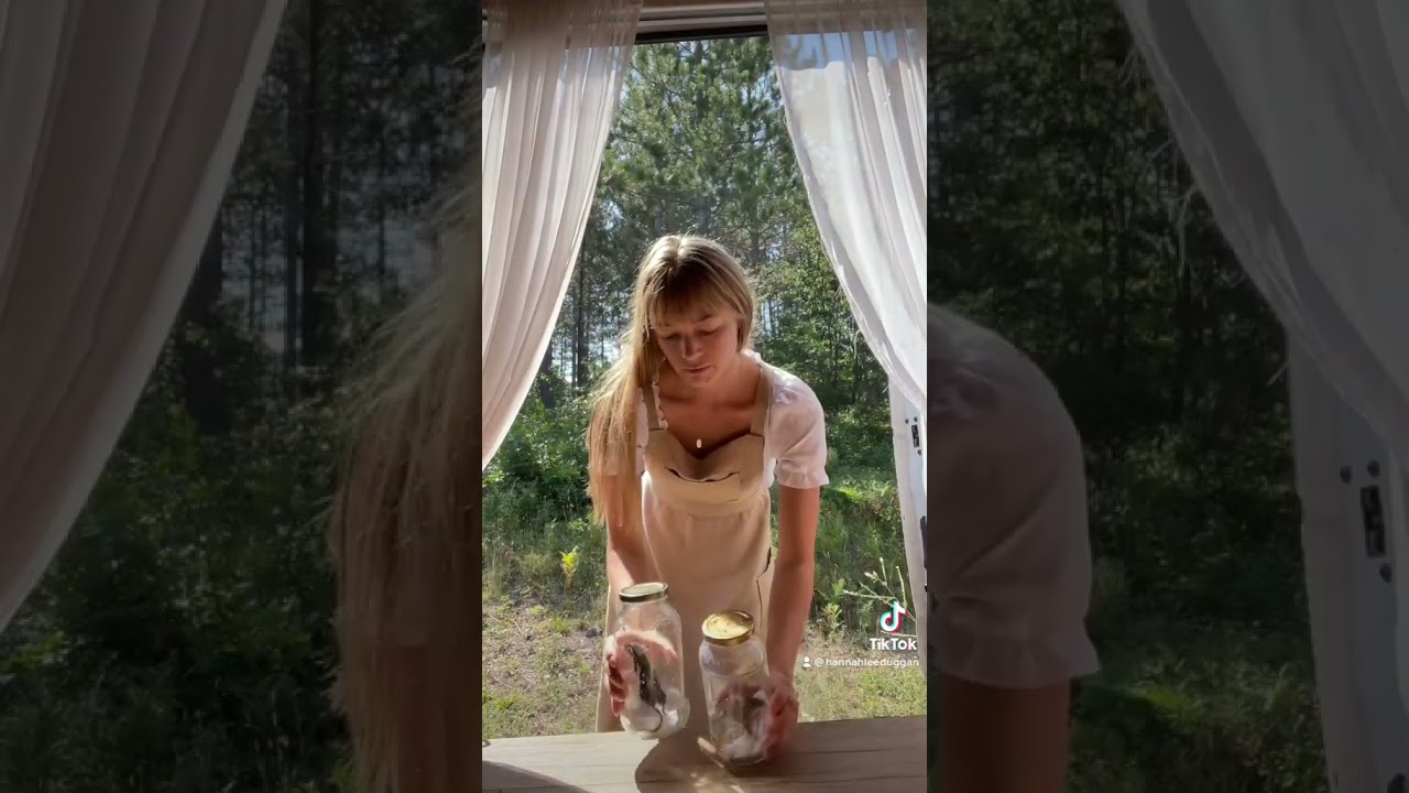 I caught mice and released them!🐁