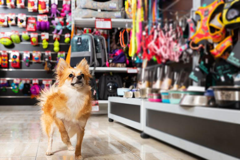 One of the biggest pet store chains announces closure of 25 locations