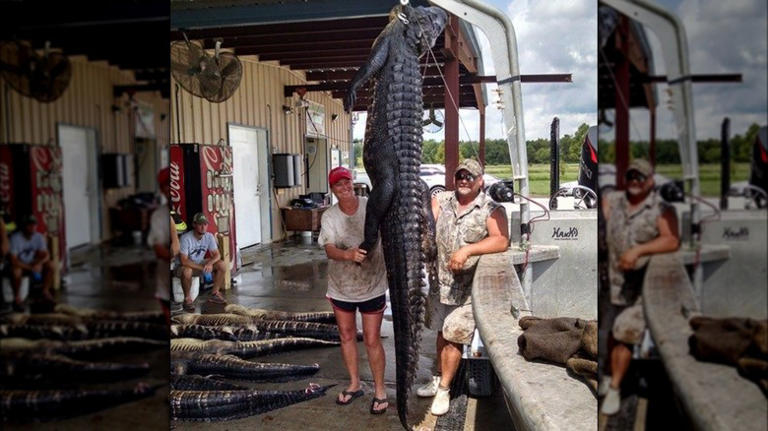 Whatever Happened To Liz Cavalier From Swamp People?