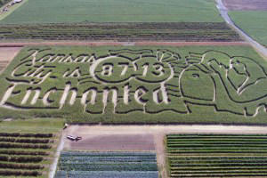 Taylor Swift & Travis Kelce Inspire Massive Kansas City Corn Maze ...