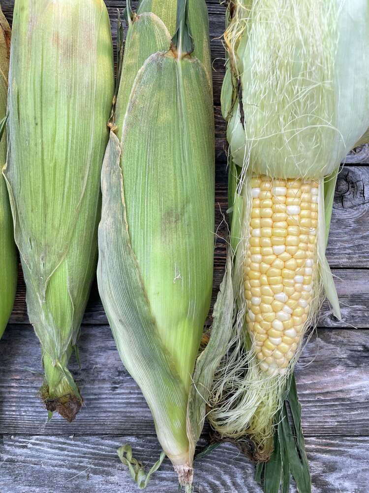 How to preserve late-summer produce without canning