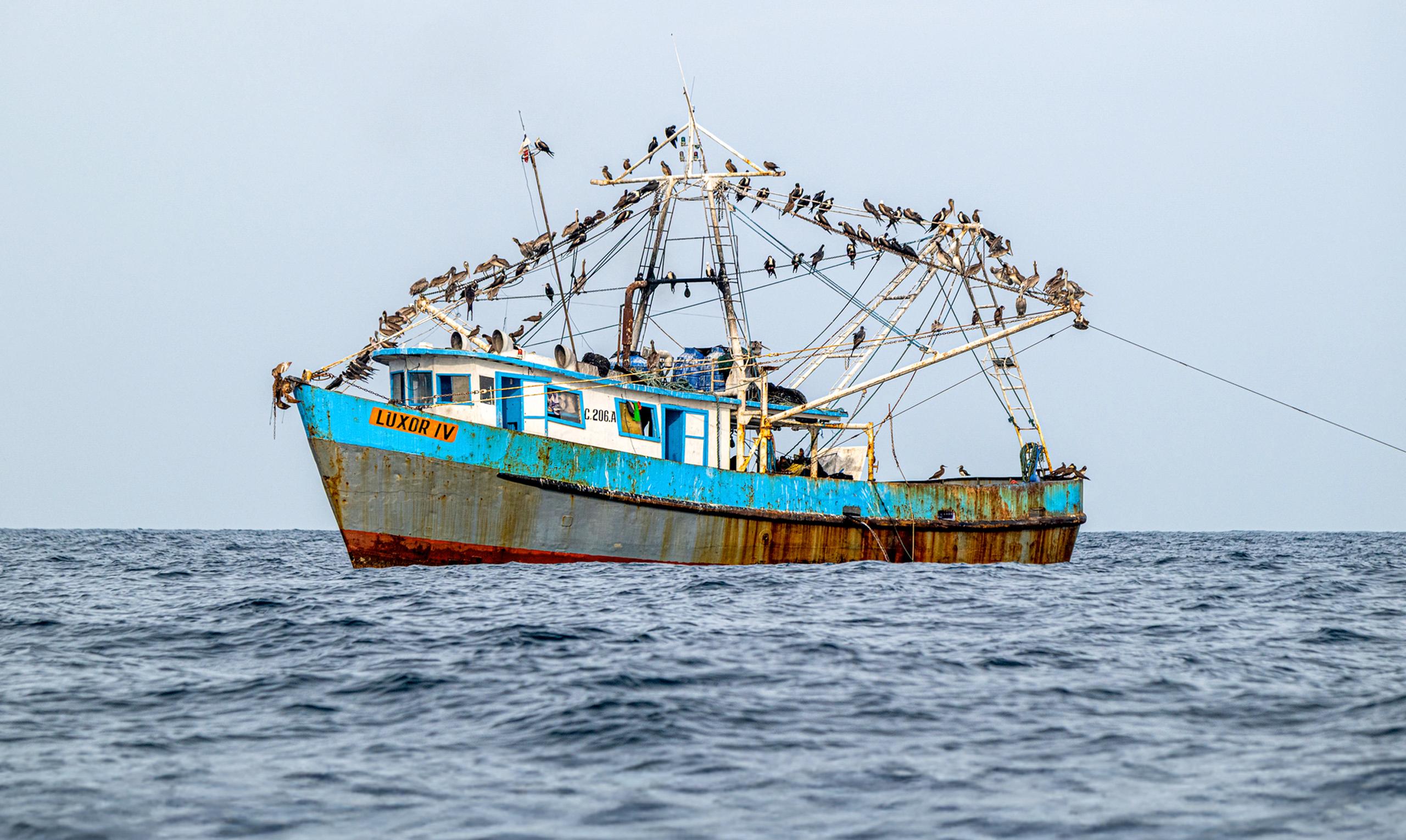 Vital Ocean Upwelling in Gulf of Panama Failed for First Time Ever ...