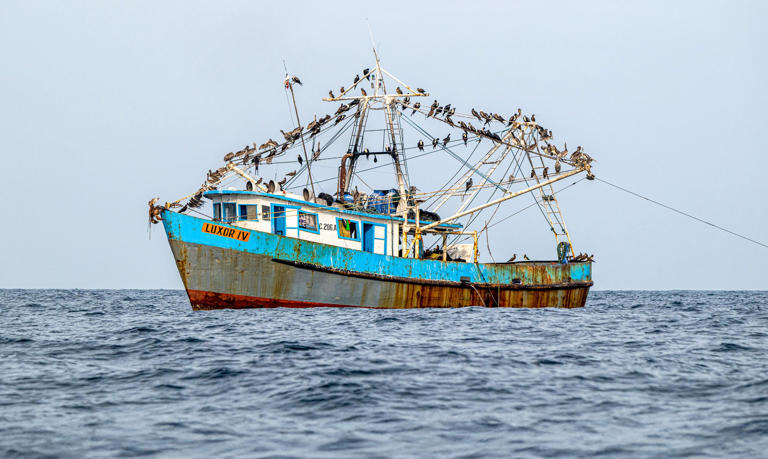 Vital Ocean Upwelling in Gulf of Panama Failed for First Time Ever ...