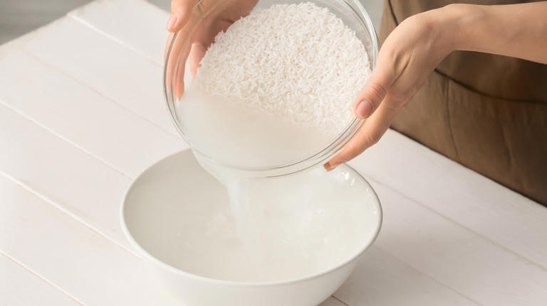 Types Of Rice Water To Use On Plants (& Which One Should You Use?)