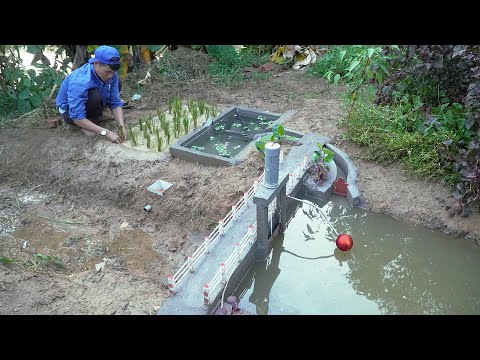 Build small dam to make fish ponds and rice cultivation