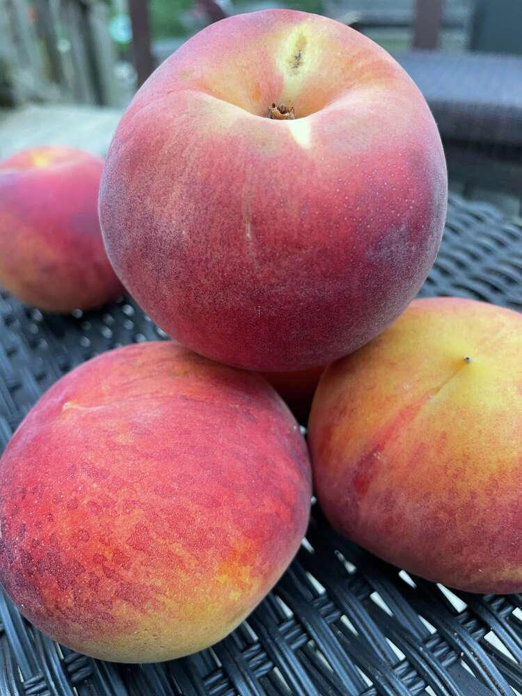 How to preserve late-summer produce without canning