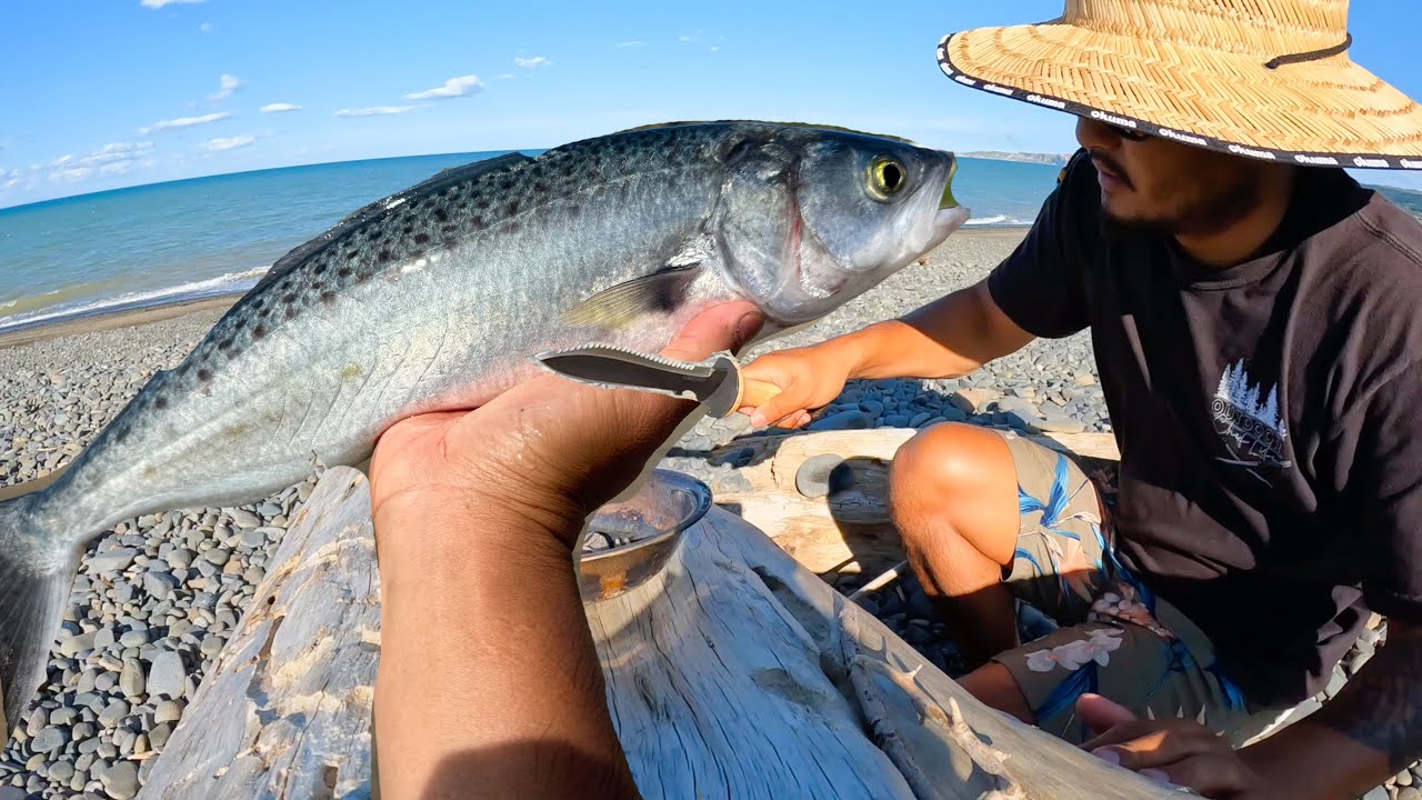 They called this fish trash but they were so wrong