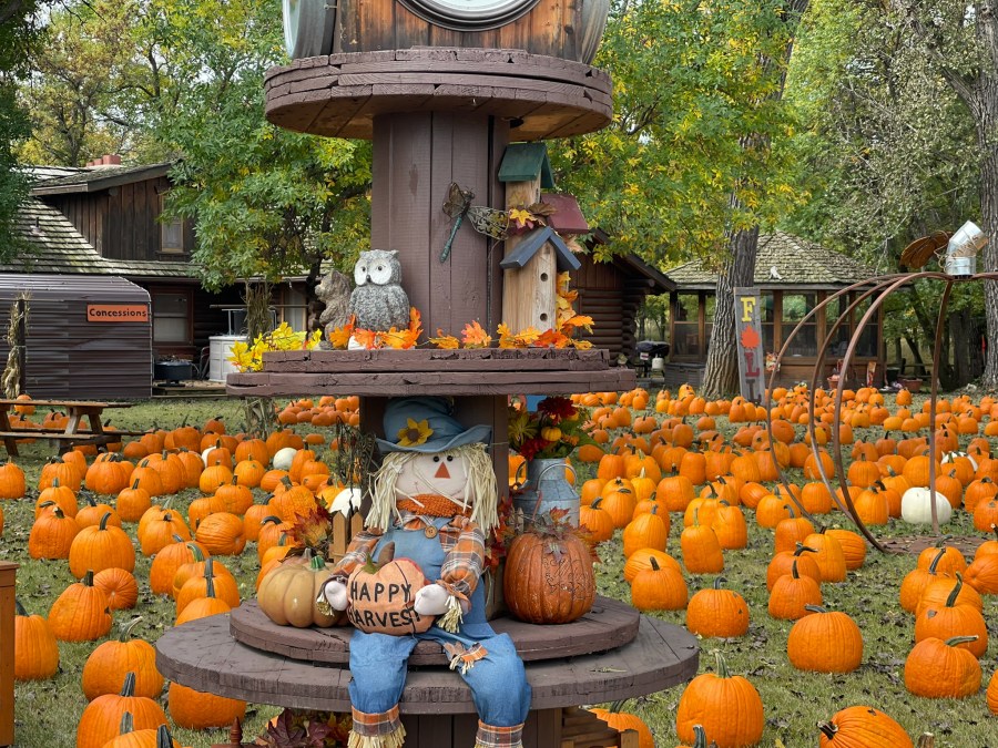 Papa’s pumpkin patch opens 42nd season