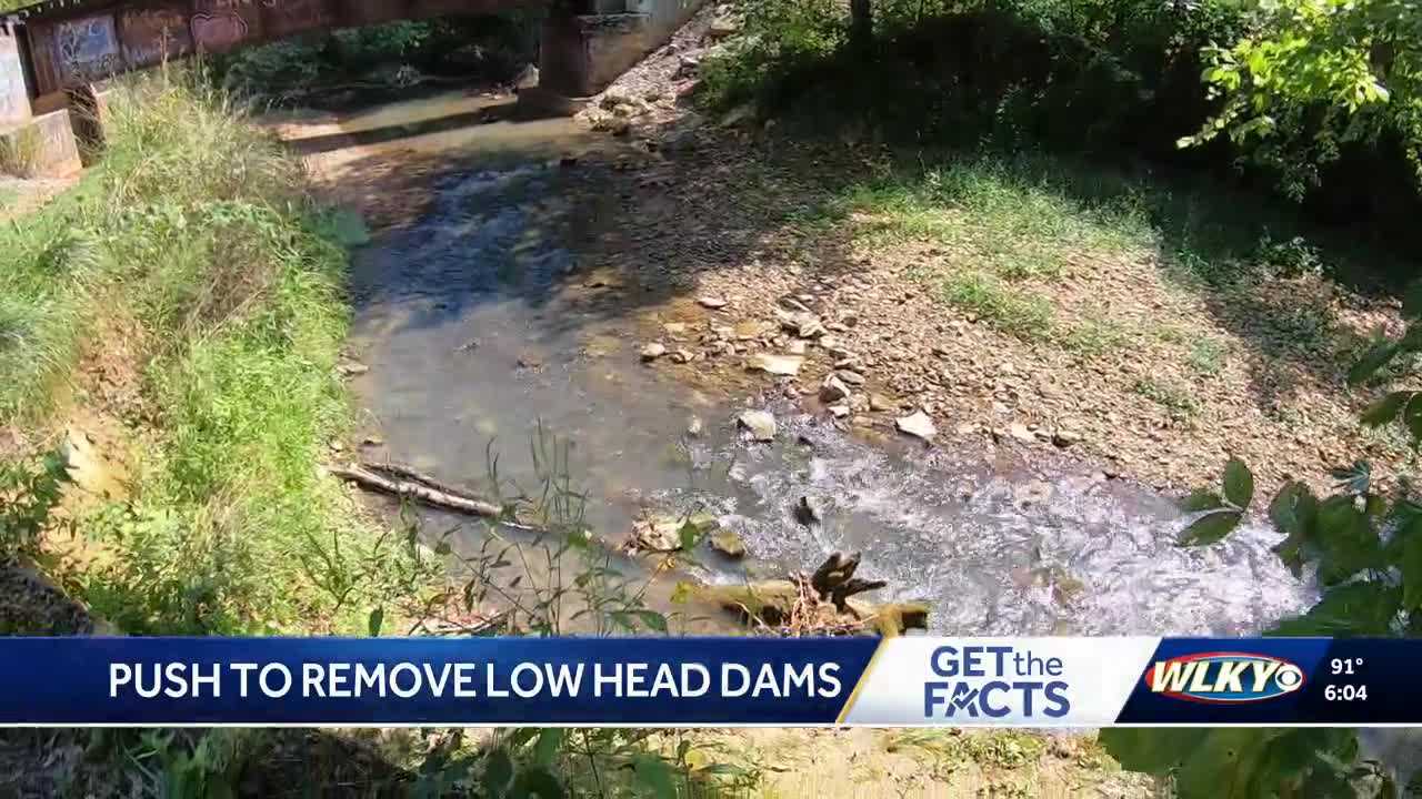 Get the Facts: Why is there a continued push to remove low-head dams in ...