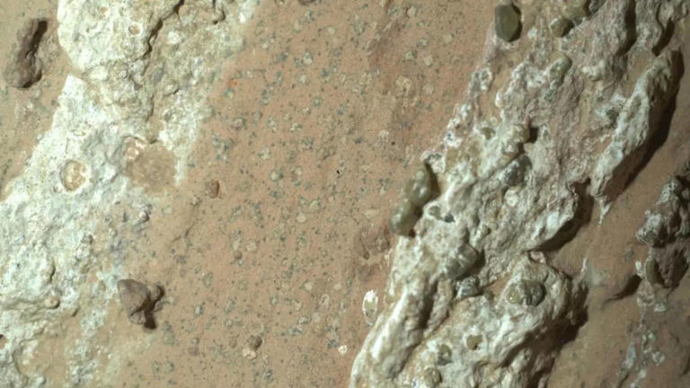 Life on Mars: NASA rover discovers strongest sign of life on Mars to ...