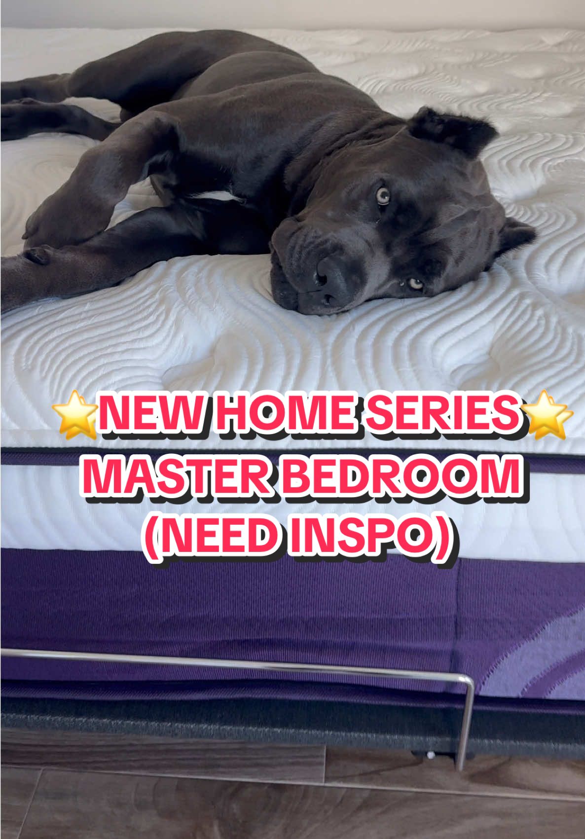 New Home Series: We Finally Got Our Big Fig Mattress