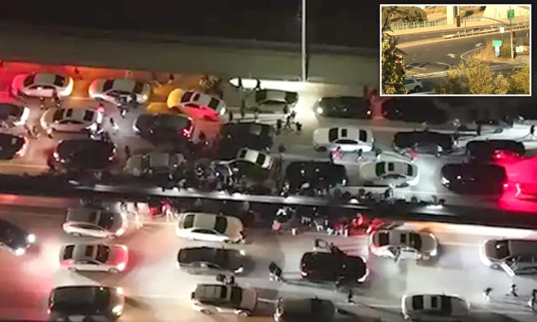 Teenager killed after falling from freeway overpass as drivers spin ...