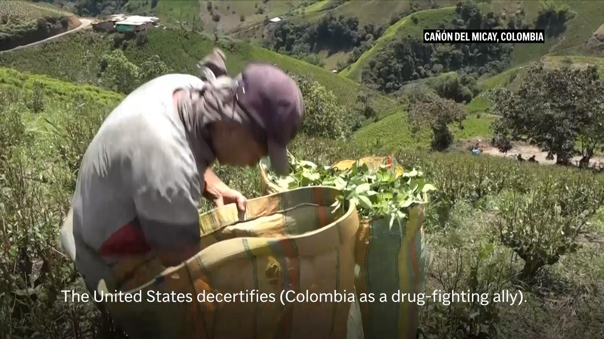 President Petro reacts to U.S. designating Colombia as failing to ...