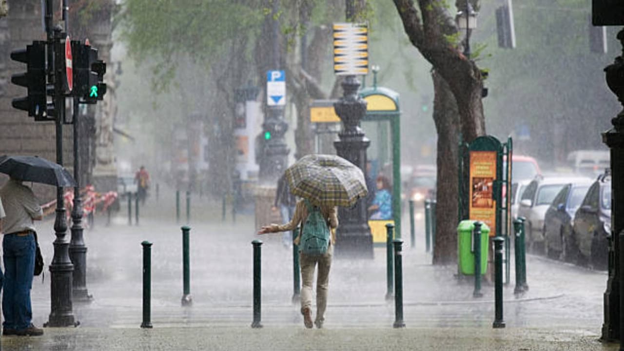 West Bengal Weather Update: Rain likely in 4 districts as monsoon ...