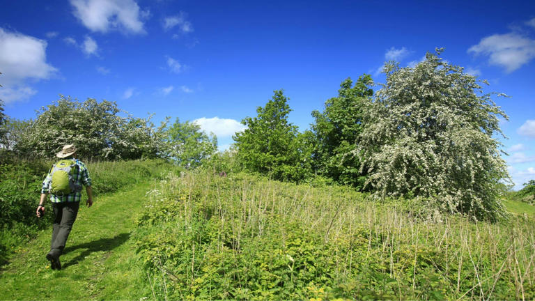 Take it easy! Why walking slowly is incredibly good for you