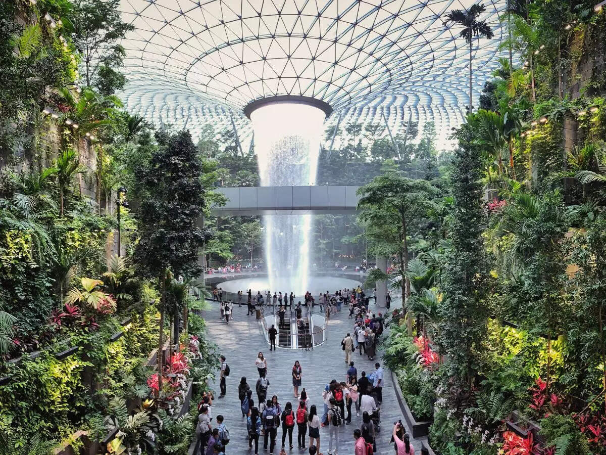 5 things a tourist should never carry while travelling to Singapore