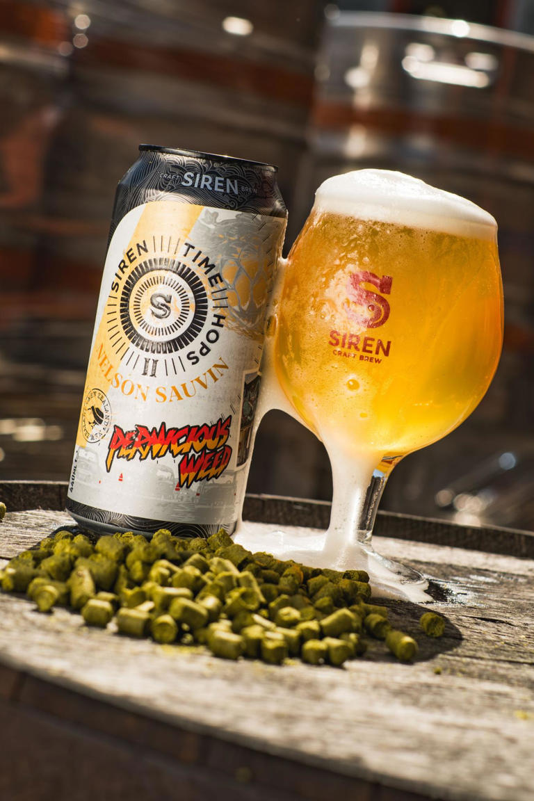 A world of incredible hops is about to descend on Siren Craft Brew