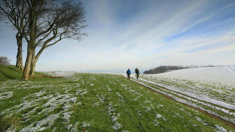 Take it easy! Why walking slowly is incredibly good for you