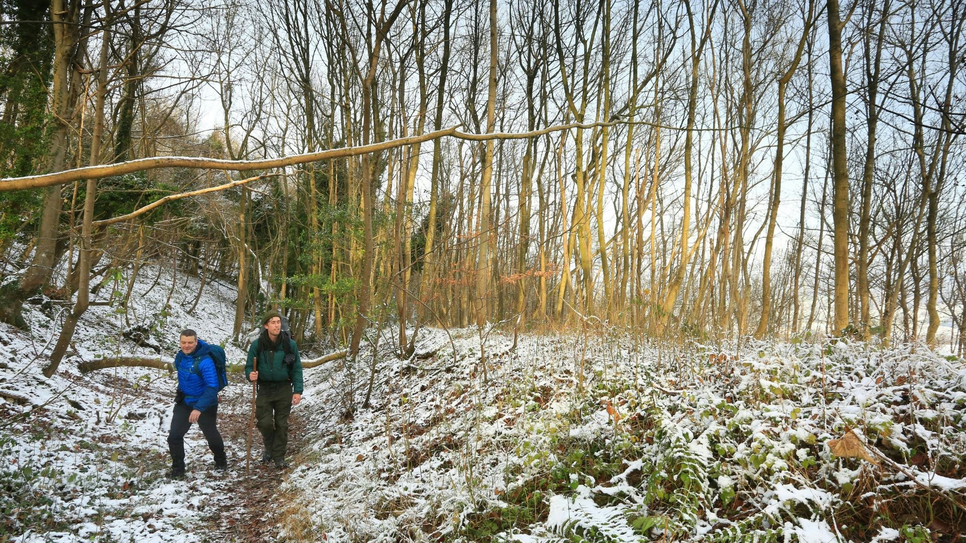 Take it easy! Why walking slowly is incredibly good for you