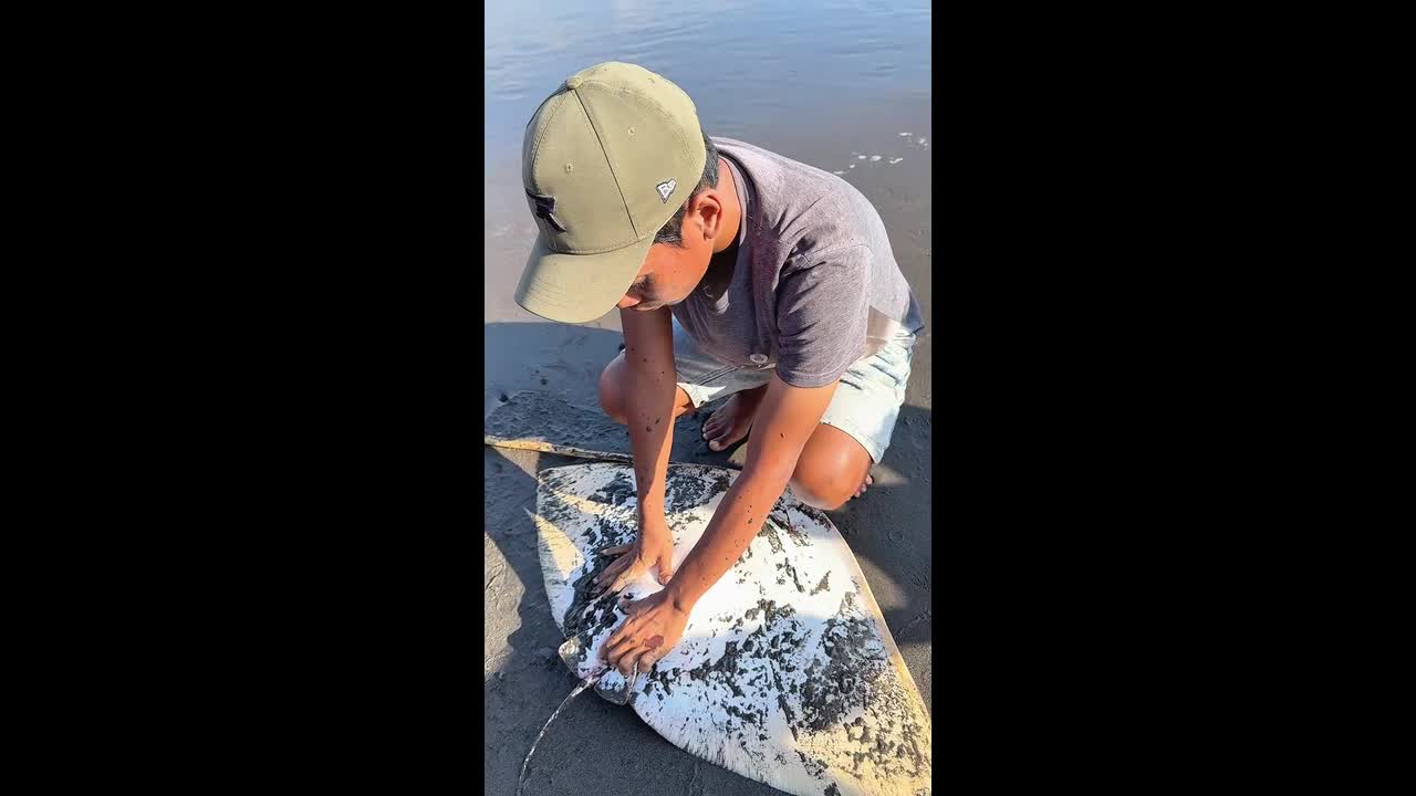 Fishermen help beached stingray give birth then release babies into sea