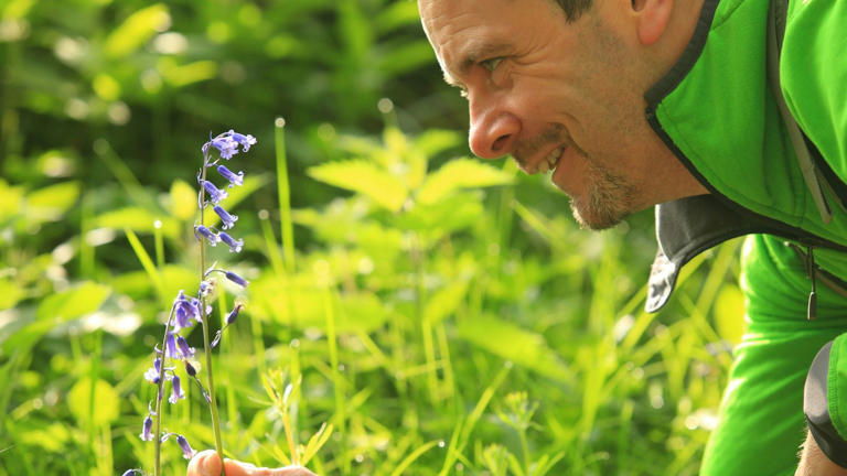 Take it easy! Why walking slowly is incredibly good for you