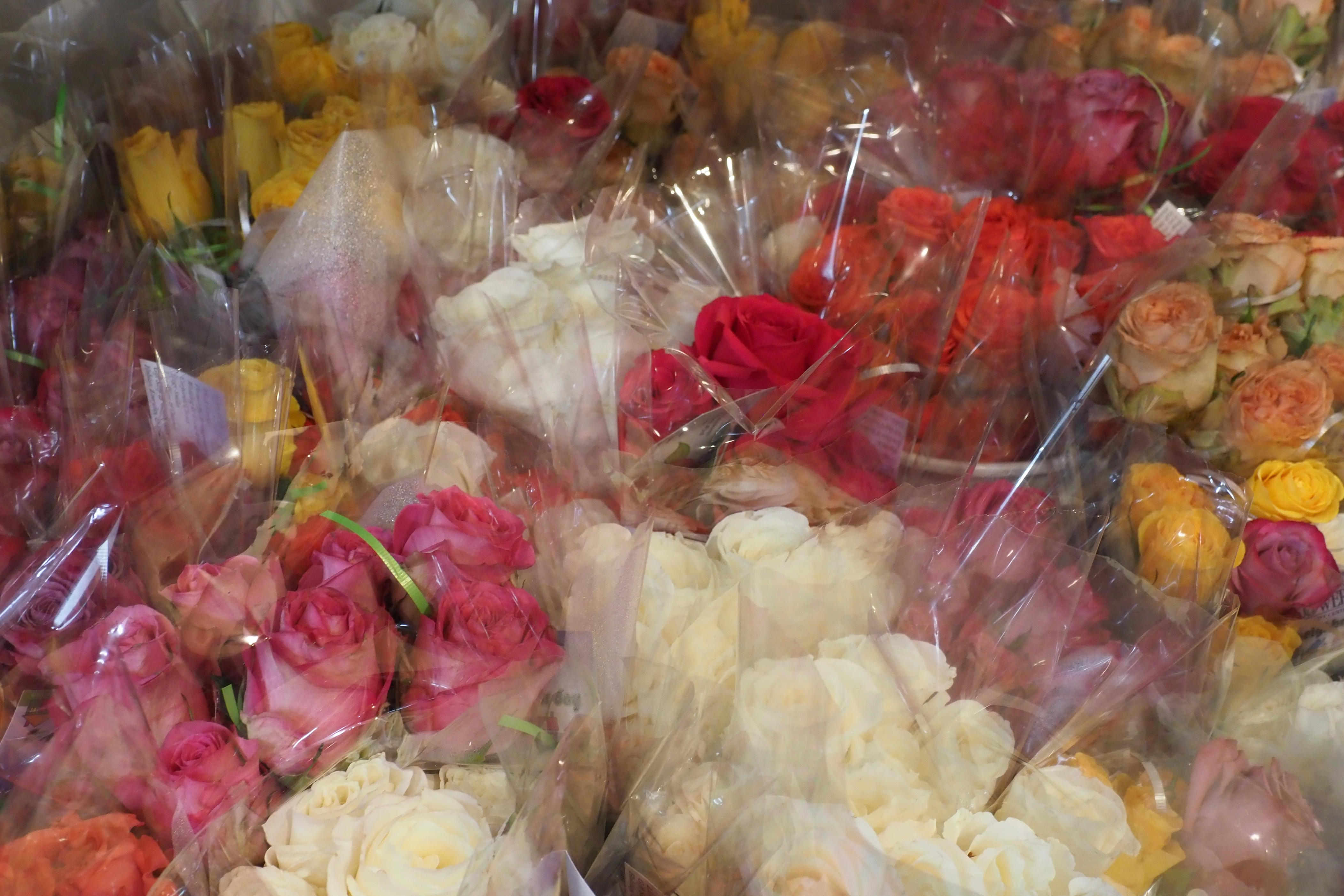 'It makes life even better:' Marion Flower Shop celebrates Good ...