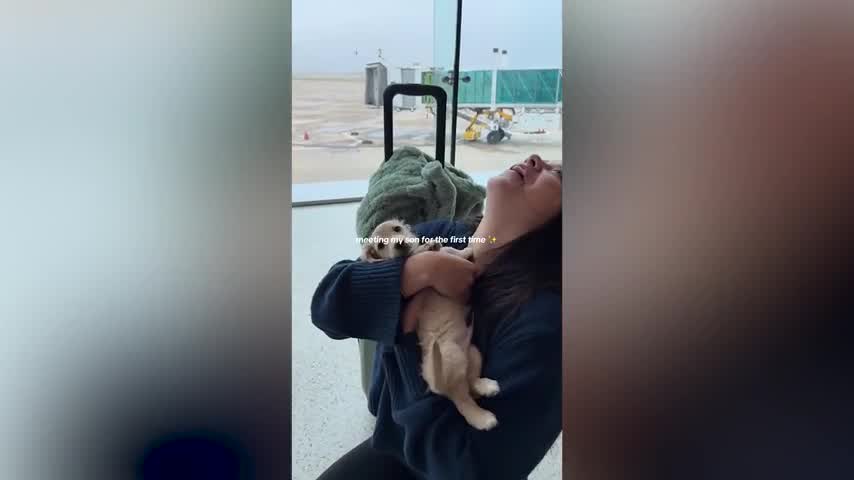Watch Joyous Moment Puppy Meets New Owner At Airport For First Time