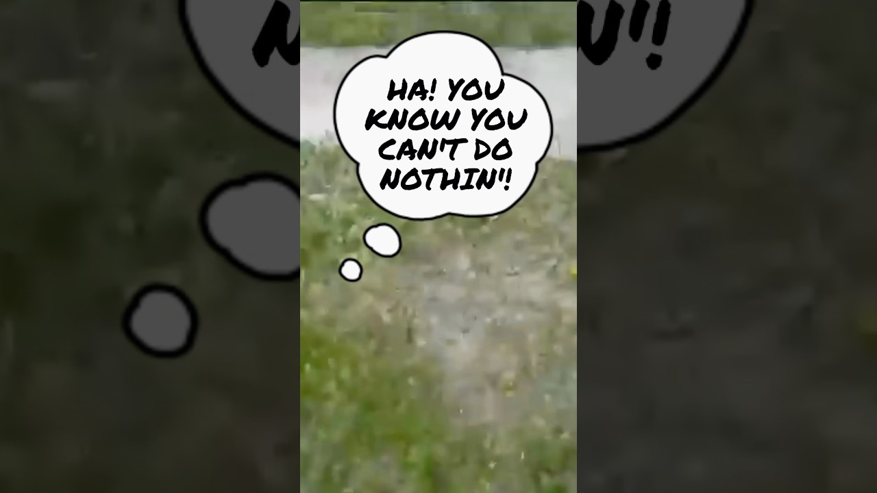 How Florida squatters face swift consequences