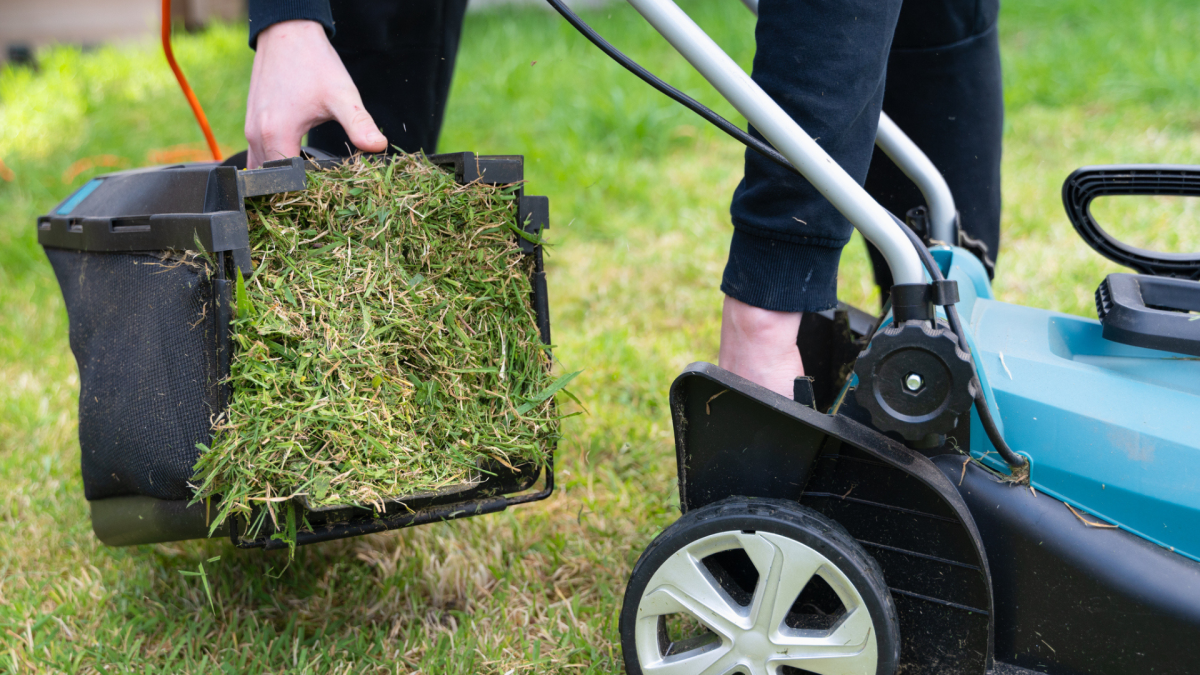 Stop Wasting Your Grass Clippings. Here’s How to Use Them as Fertilizer ...