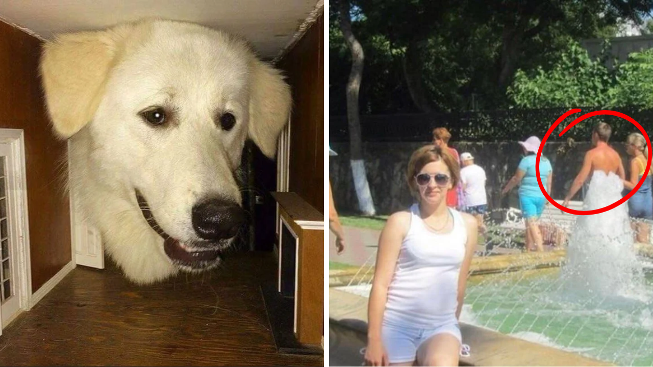 30 Pictures that trick your brain at first glance