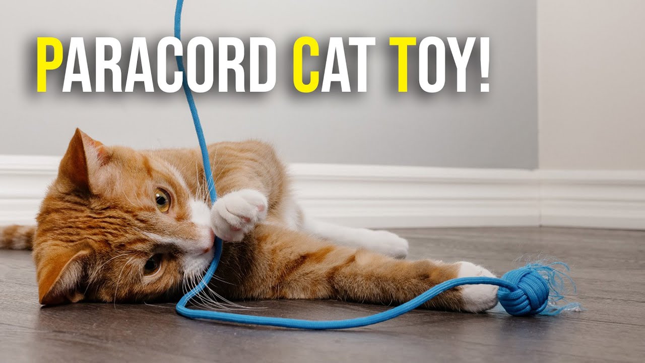 DIY monkey’s fist cat toy – easy and fun paracord tutorial