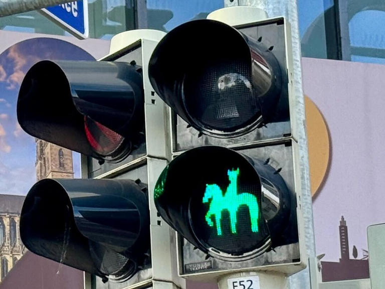 Die Ampel Zeigt Grun