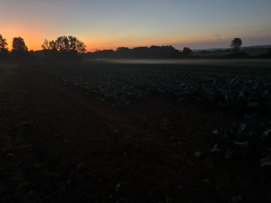 Sunrise Smart Start: Water main break update, Penfield quarry blast