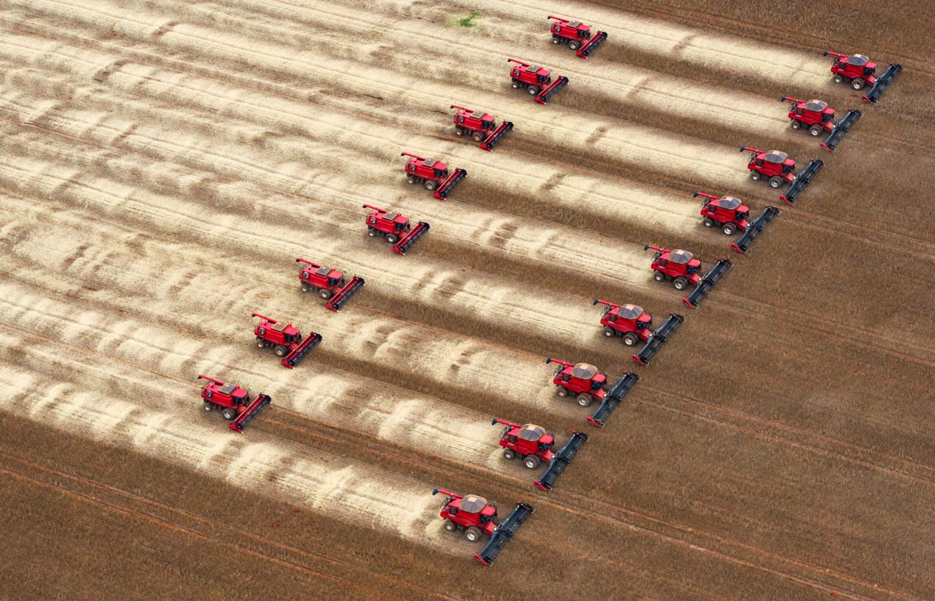 Top 10 agricultural producing countries