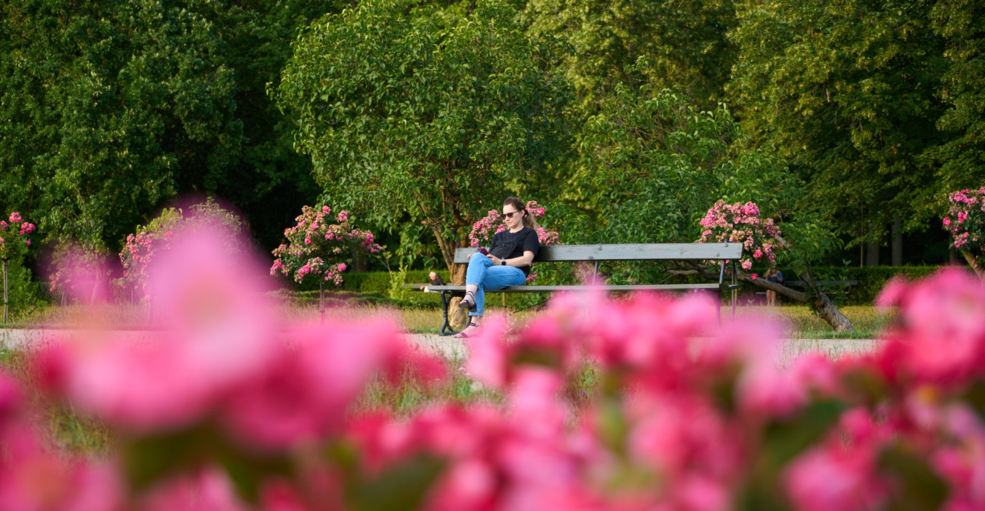 Bibliotherapy Can Reading Heal Depression