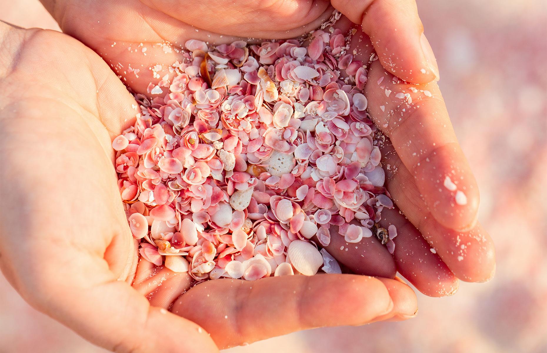 Beautiful pink sand beaches to see in your lifetime
