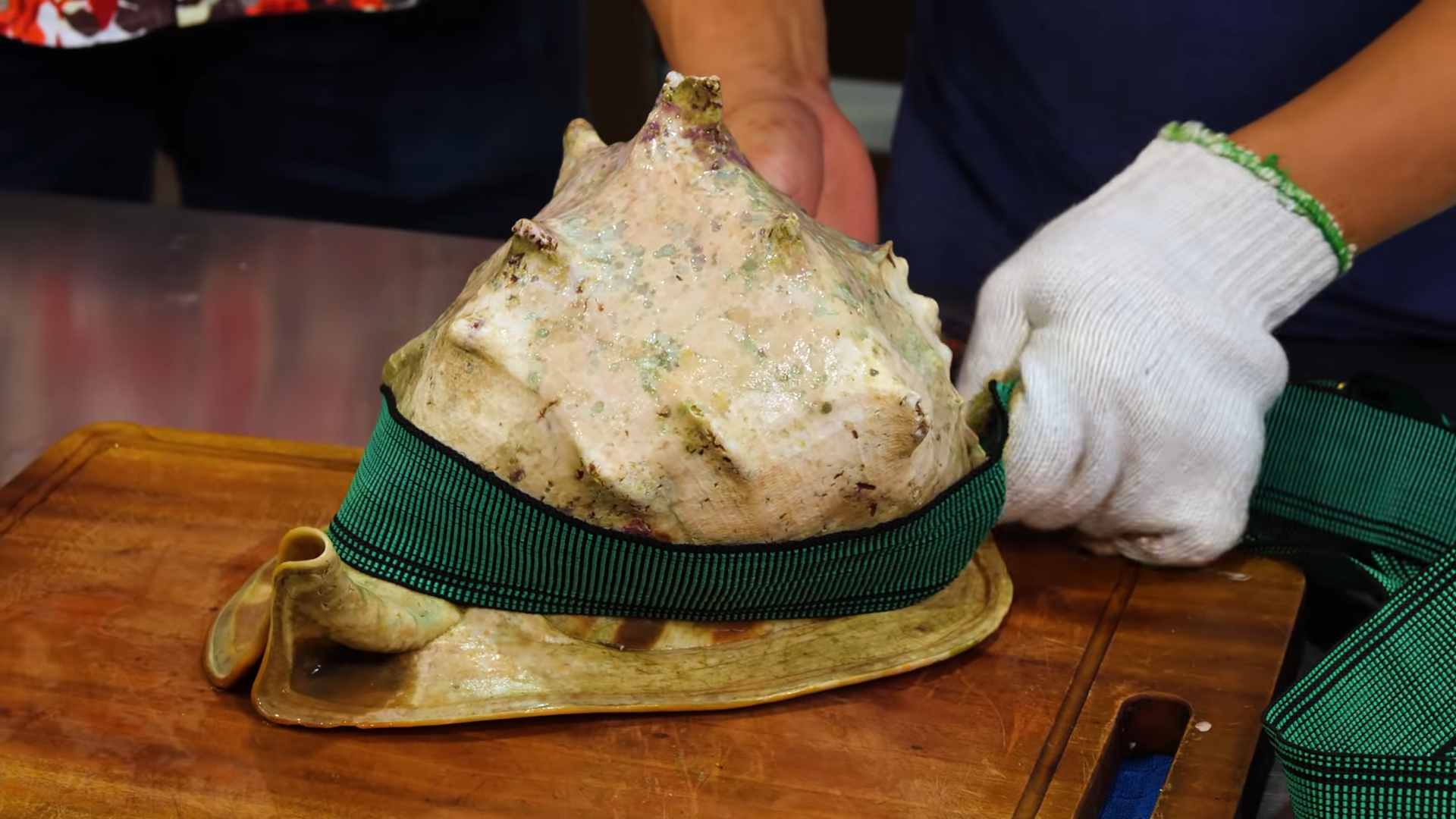 Eating Rare Giant Sea Snails